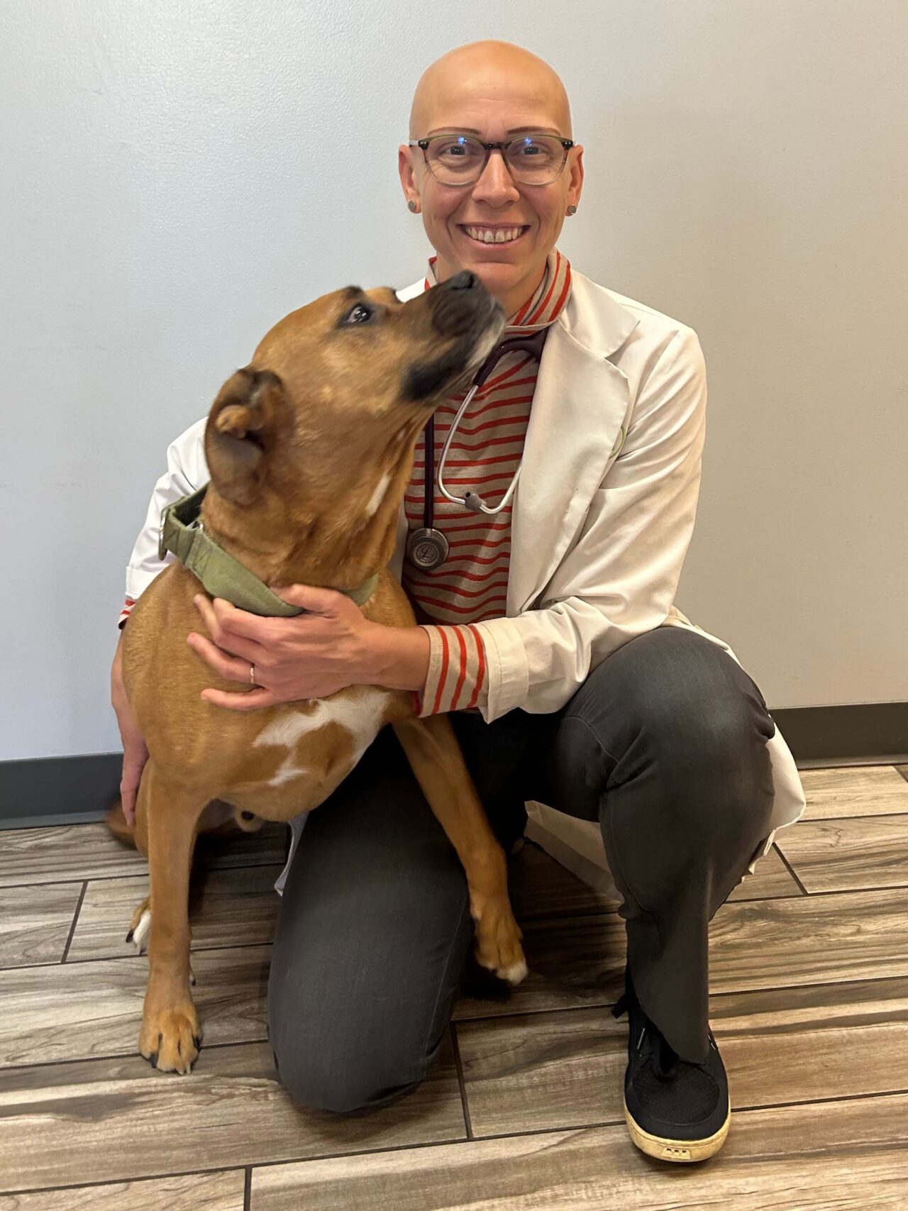 Best Veterinary Hospital In Springfield, MO | Spring Valley Veterinary ...