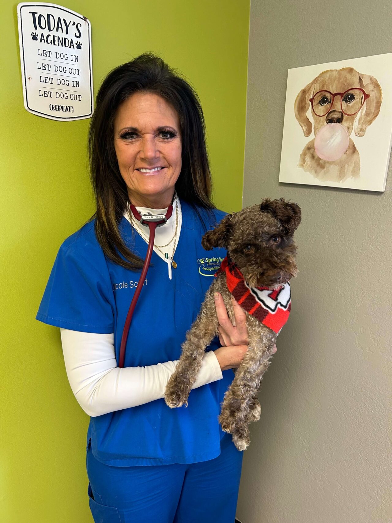 Best Veterinary Hospital In Springfield, MO | Spring Valley Veterinary ...