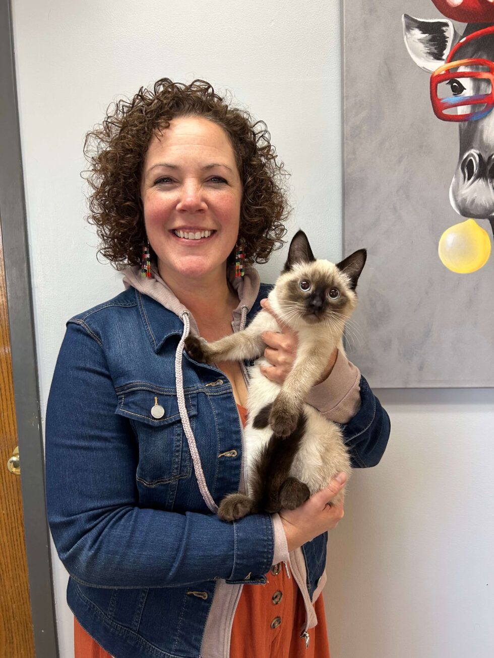 Best Veterinary Hospital In Springfield, MO | Spring Valley Veterinary ...