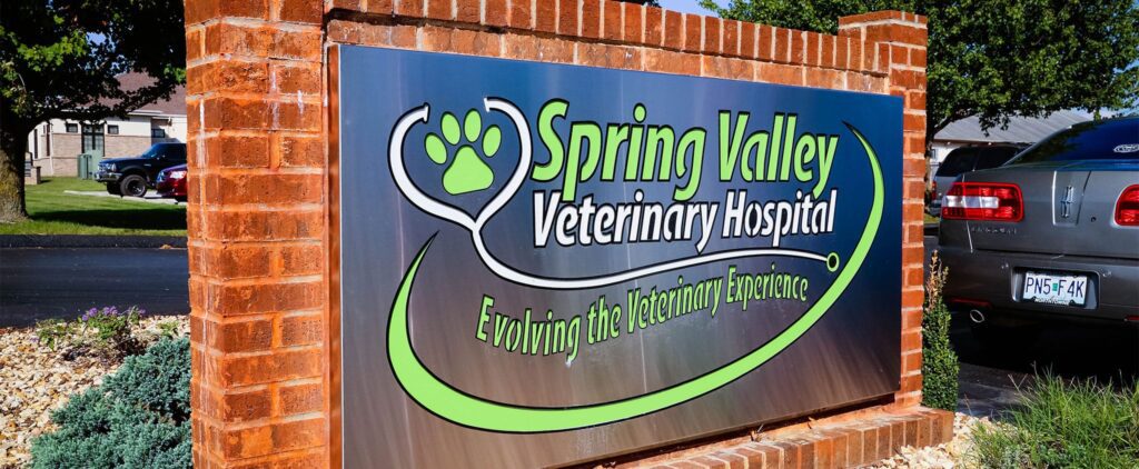 Vet Near Me Springfield, MO | Spring Valley Veterinary Hospital East ...