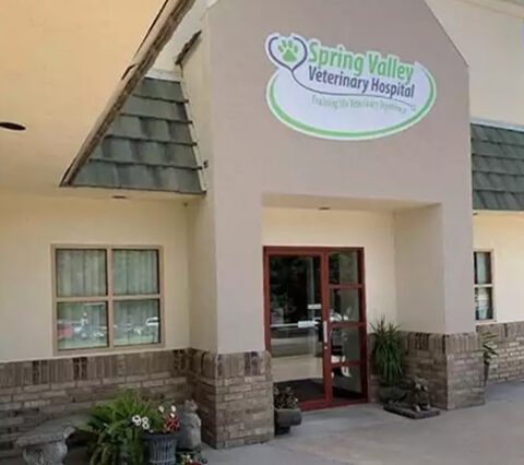 Best Veterinary Hospital In Springfield, MO | Spring Valley Veterinary ...